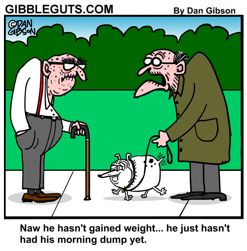Constipated Dog Cartoon from Gibbleguts.com