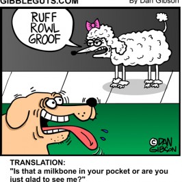 Guilty Cat Cartoon – Gibbleguts COMICS